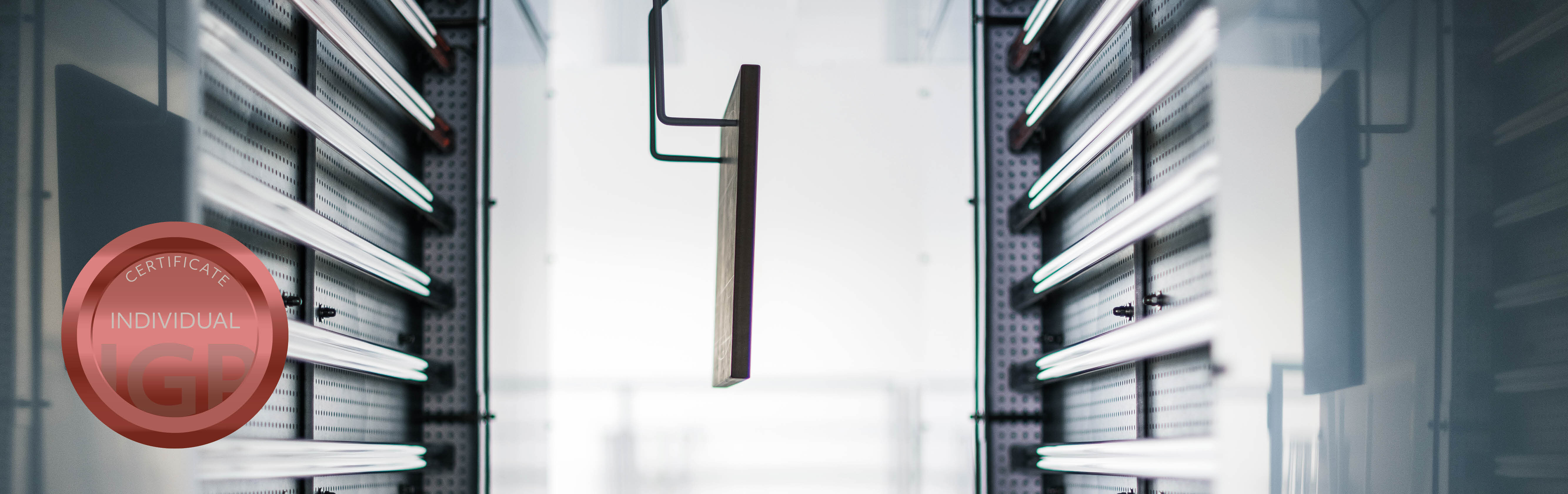 Individual Training | IGP Powder Coatings